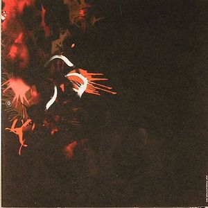 AGF/VLADISLAV DELAY - Explode CD at Juno Records.