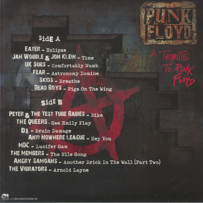 VARIOUS - Punk Floyd: A Tribute To Pink Floyd Vinyl at Juno Records.