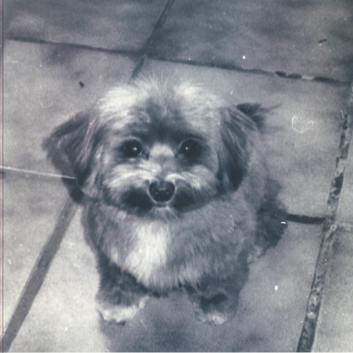 SUWI - Playing For Oscar Vinyl at Juno Records.