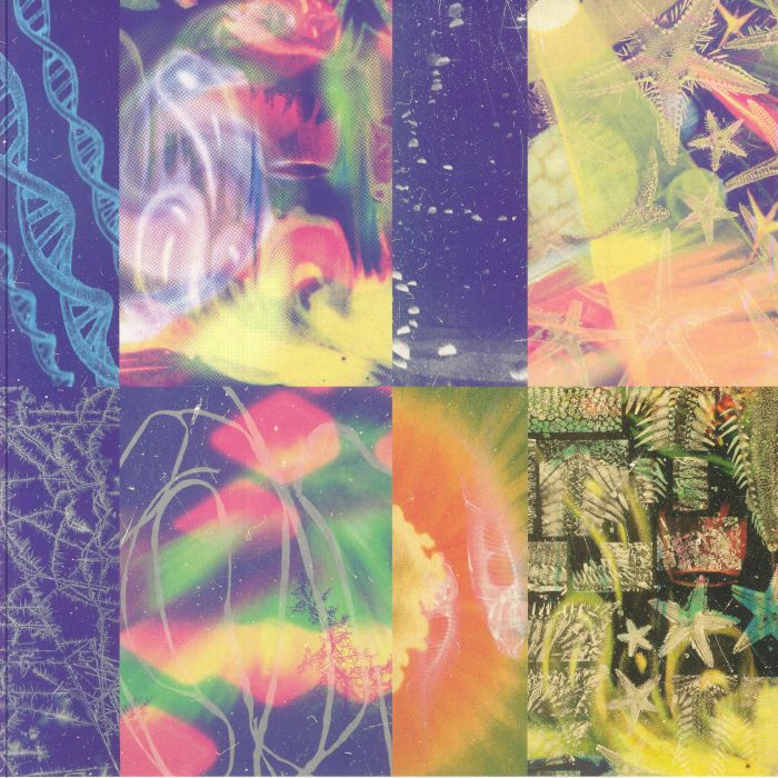 NAP EYES - The Neon Gate Vinyl at Juno Records.