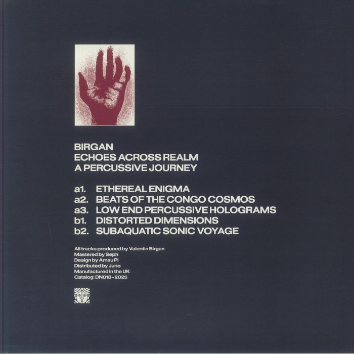 BIRGAN - Echoes Across Realm A Percussive Journey EP Vinyl at Juno Records.