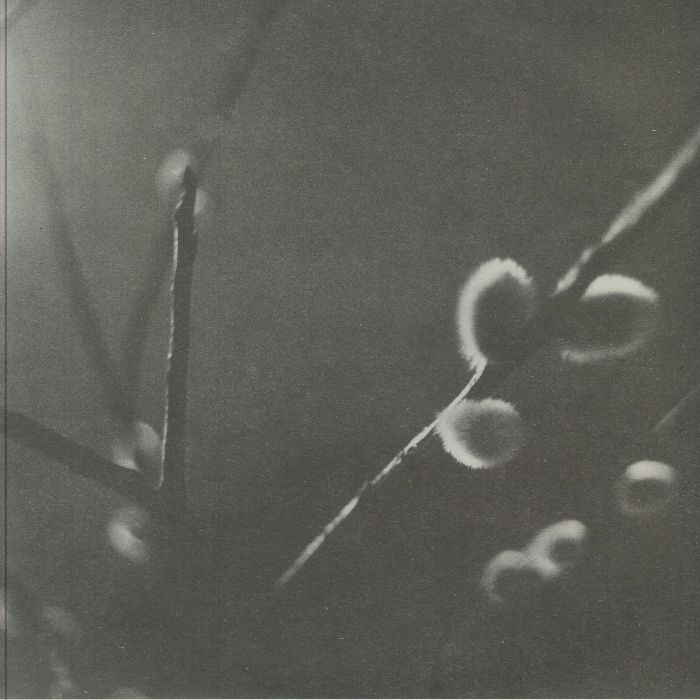 KNOWONE - KNWN 6.5 Vinyl at Juno Records.