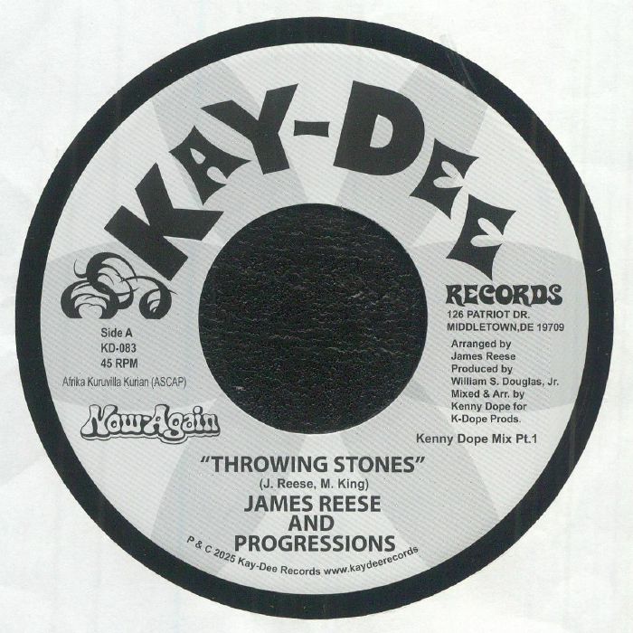 James REESE & THE PROGRESSIONS - Throwing Stones (remixes) Vinyl at Juno Records.