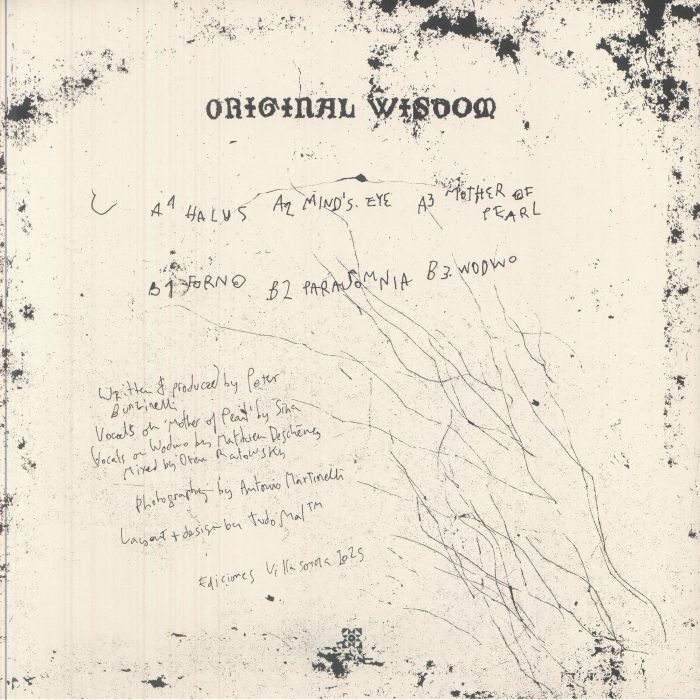 BUNZINELLI - Original Wisdom Vinyl at Juno Records.