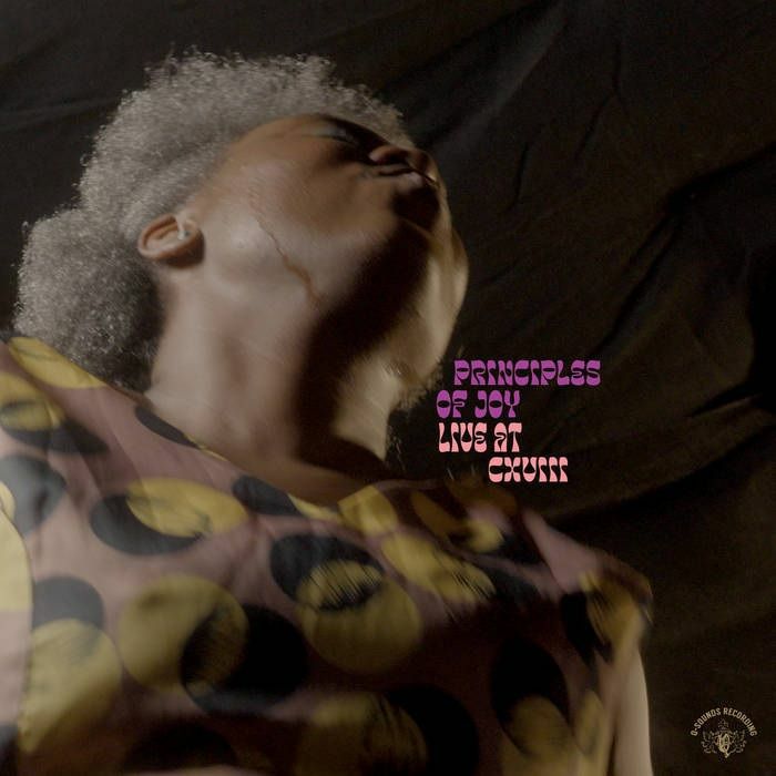 PRINCIPLES OF JOY - Live At CXVIII Vinyl at Juno Records.