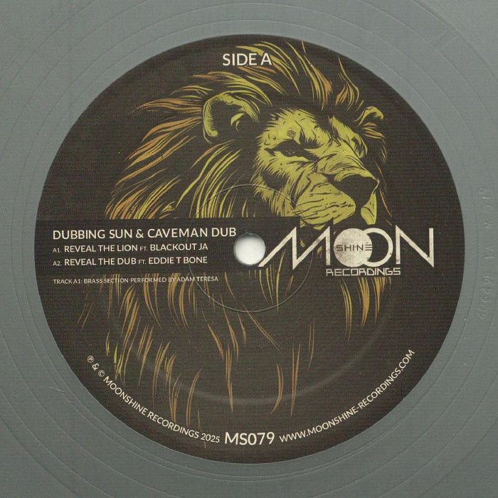 DUBBING SUN/CAVEMAN DUB/SMALL TOWN DUBZ - Reveal The Lion Vinyl at Juno ...