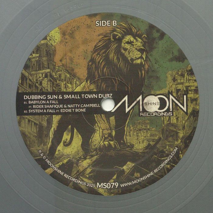 DUBBING SUN/CAVEMAN DUB/SMALL TOWN DUBZ - Reveal The Lion Vinyl at Juno ...