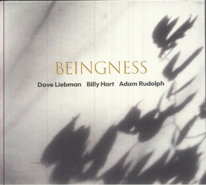 Dave LIEBMAN/BILLY HART/ADAM RUDOLPH - Beingness CD at Juno Records.