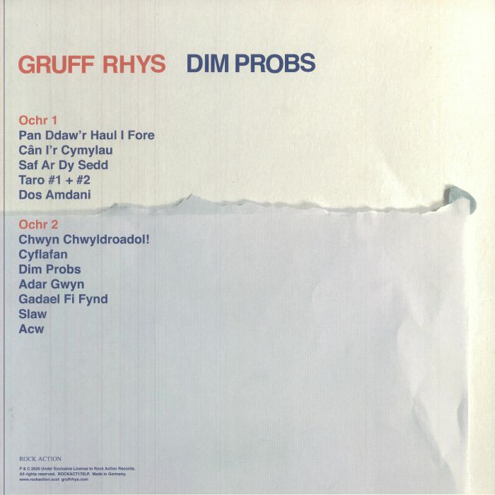 Gruff RHYS - Dim Probs Vinyl at Juno Records.