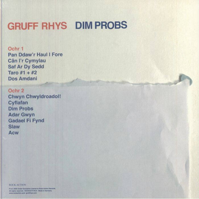 Gruff RHYS - Dim Probs Vinyl at Juno Records.