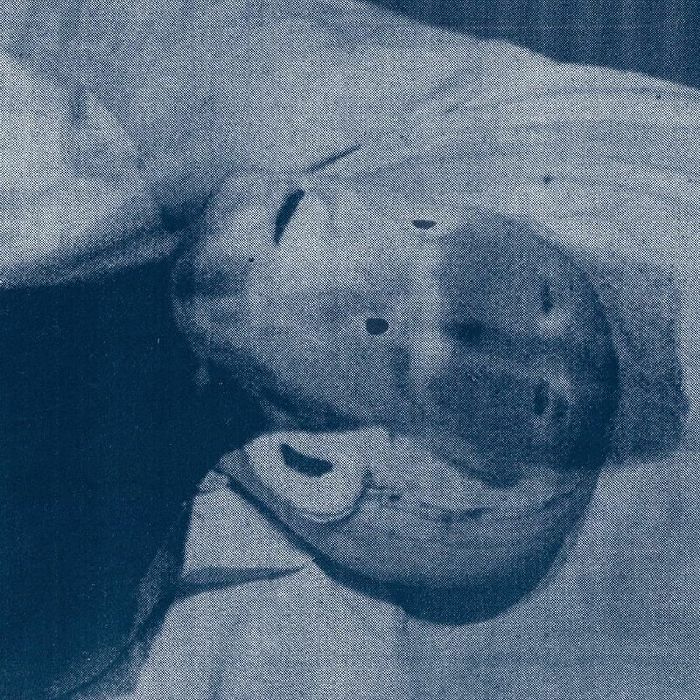 Ameel BRECHT - Beast Vinyl at Juno Records.