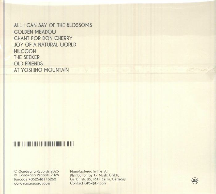 ANCIENT INFINITY ORCHESTRA - It's Always About Love CD at Juno Records.