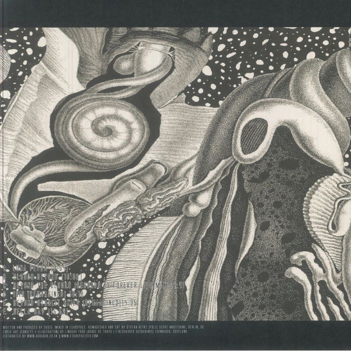 CV313 - Dimensional Space (remastered) Vinyl at Juno Records.