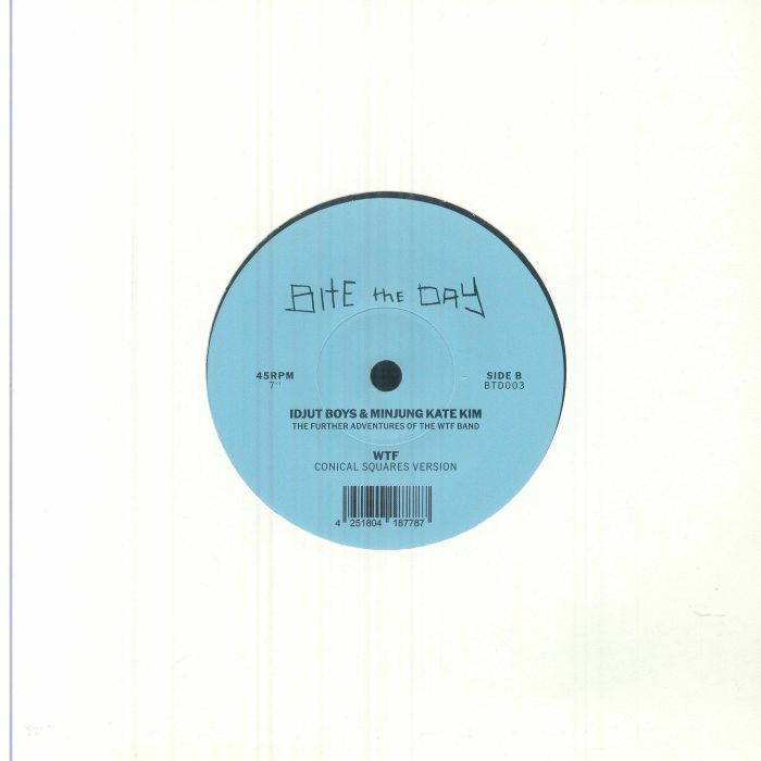 IDJUT BOYS/MINJUNG KATE KIM - WTF: Further Adventures Of The WTF Band Vinyl at Juno Records.