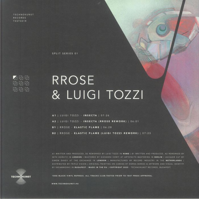 RROSE/LUIGI TOZZI - Split Series 01 Vinyl at Juno Records.