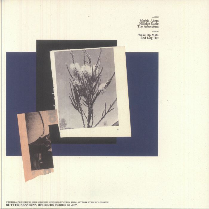 Alex ALBRECHT - The Arboretum Vinyl at Juno Records.