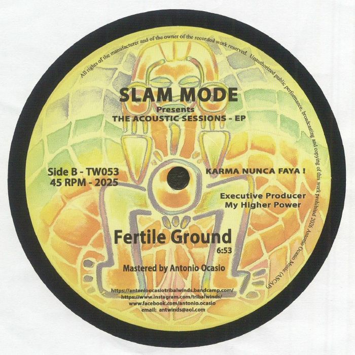 SLAM MODE - The Acoustic Sessions EP Vinyl at Juno Records.