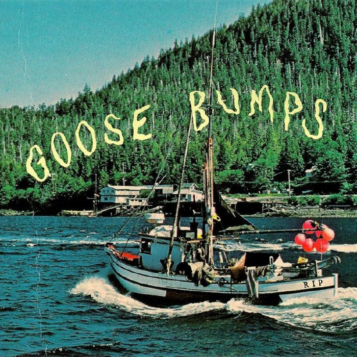 BOYSCOTT - Goose Bumps (reissue) Vinyl at Juno Records.