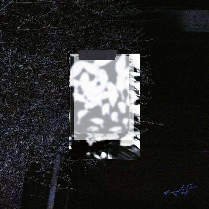 GROOF - Simulation Vinyl at Juno Records.