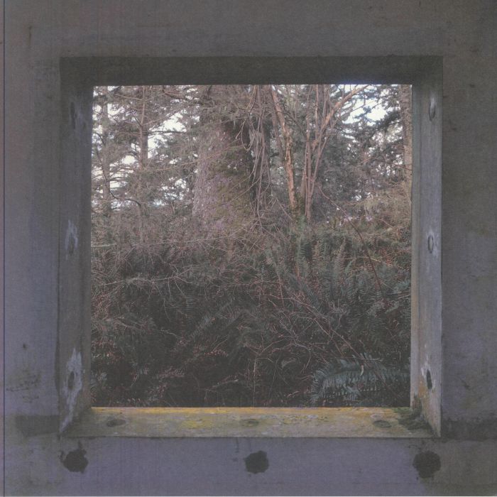 Derek Hunter WILSON - Sculptures Vinyl at Juno Records.