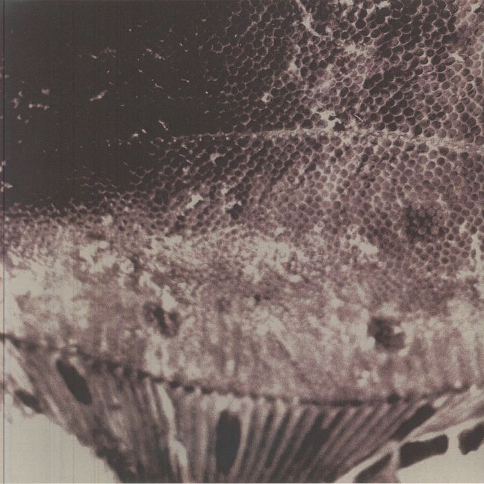 Mark IJZERMAN - Flounder Maps Vinyl at Juno Records.