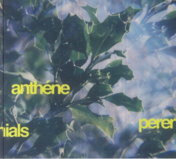 ANTHENE - Perennials CD at Juno Records.