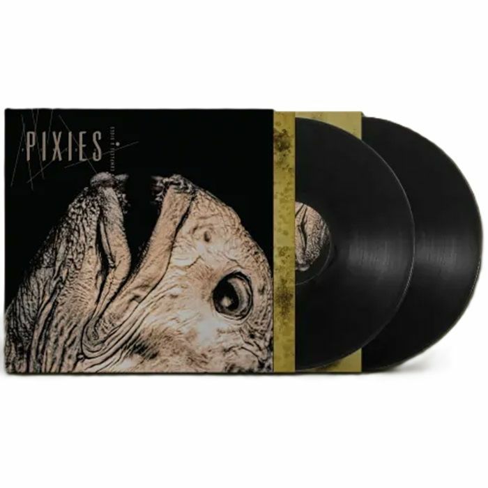 PIXIES - Complete B Sides: 1988-97 (25th Anniversary Edition) Vinyl at ...