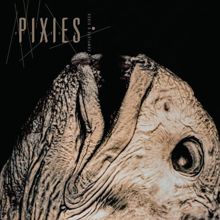 PIXIES - Complete B Sides: 1988-97 (25th Anniversary Edition) Vinyl at ...