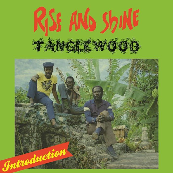 TANGLEWOOD - Rise & Shine Vinyl at Juno Records.