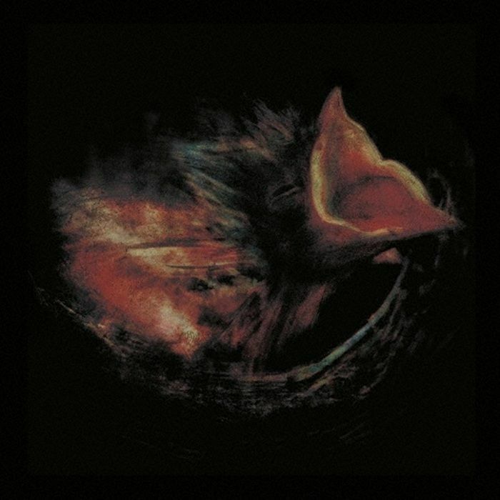 GURRIERS - Nobodys Coming To Save You CD at Juno Records.