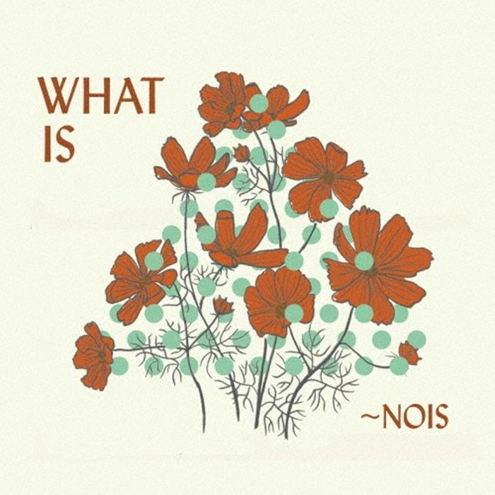 NOIS - What Is Nois? CD at Juno Records.