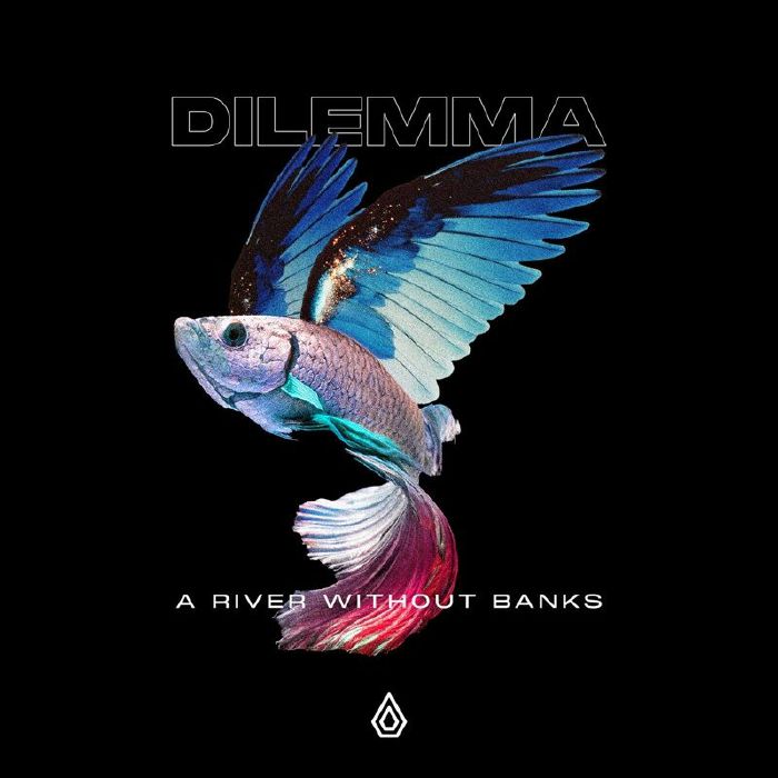 DILEMMA - A River Without Banks Vinyl at Juno Records.