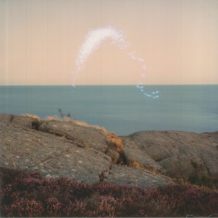 Cassandra JENKINS - An Overview On Phenomenal Nature Vinyl at Juno Records.