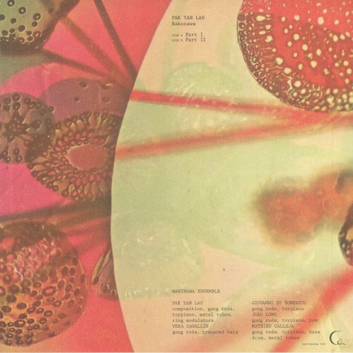 Pak Yan LAU - Bakunawa Vinyl at Juno Records.