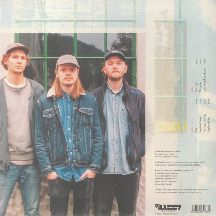 DATADYR - Woolgathering Vinyl at Juno Records.