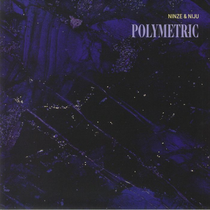 NINZE/NIJU - Polymetric EP Vinyl at Juno Records.