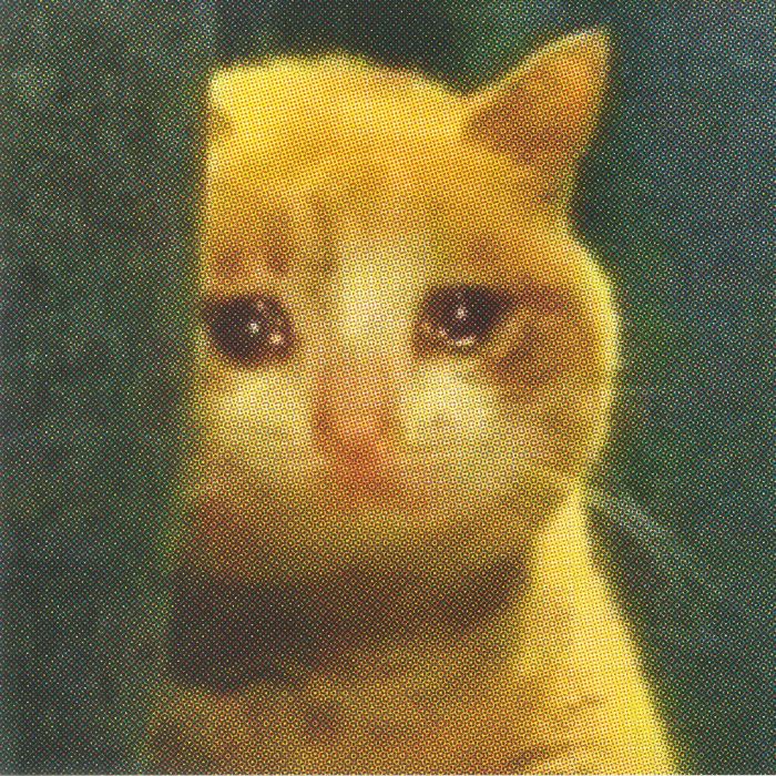 Sam SHALABI - Shirk Vinyl at Juno Records.