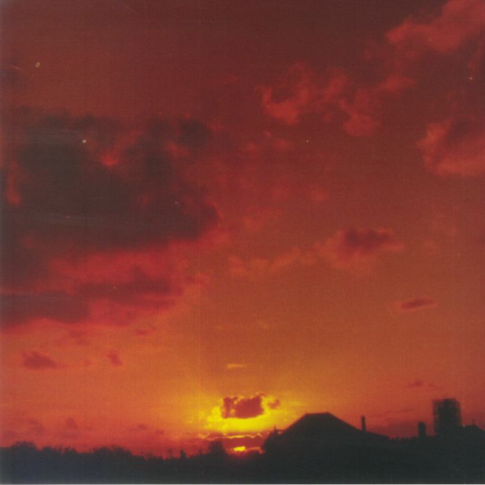 DIES LEXIC - Lexicon Hall Vinyl at Juno Records.