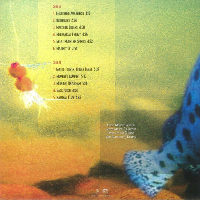 STEVE MORSE BAND - Split Decision Vinyl at Juno Records.