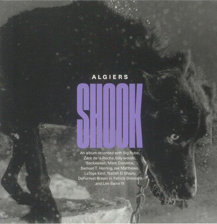 ALGIERS - Shook CD at Juno Records.