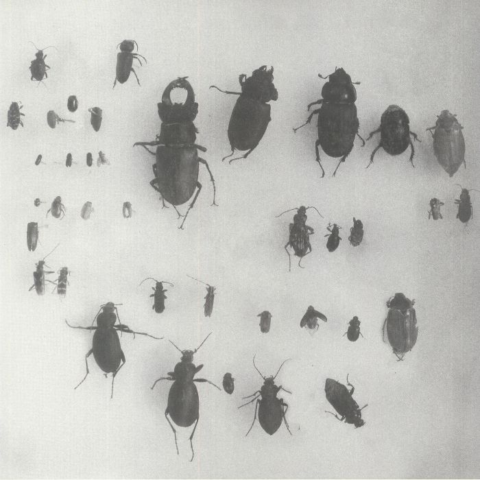 Lewis FAUTZI - You Can t Step On The Same Risk Twice EP Vinyl at Juno ...