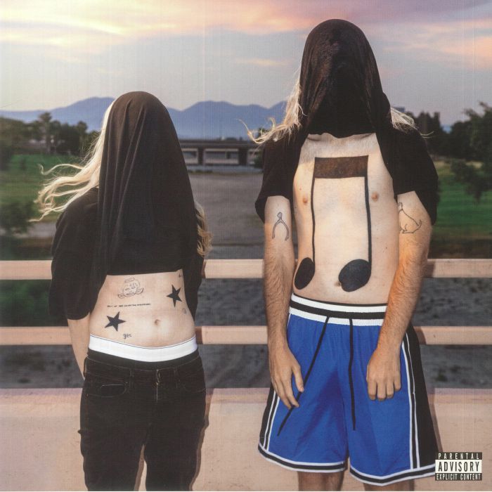 100 GECS - 10000 Gecs Vinyl at Juno Records.