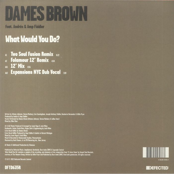 DAMES BROWN feat ANDRES/AMP FIDDLER - What Would You Do? Vinyl at Juno ...