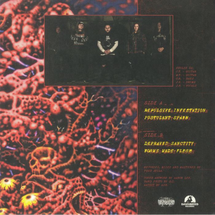 EVULSE - Pustulant Spawn Vinyl at Juno Records.