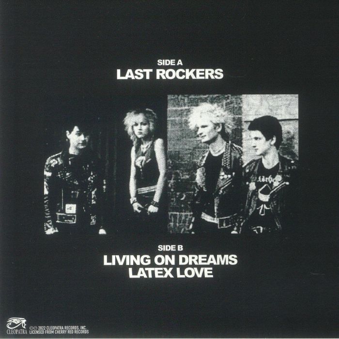 VICE SQUAD - Last Rockers Vinyl at Juno Records.