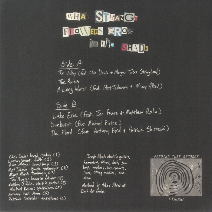 Joseph ALLRED - What Strange Flowers In The Shade Vinyl at Juno Records.