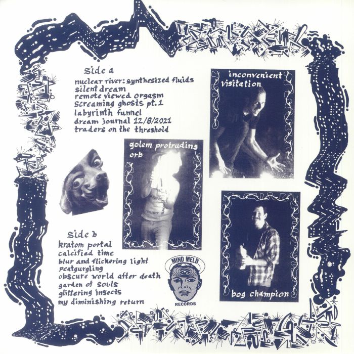 GLITTERING INSECTS - Glittering Insects Vinyl at Juno Records.