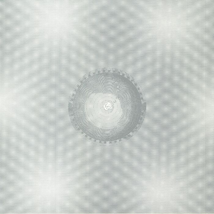 Andrius ARUTIUNIAN - Seven Common Ways Of Disappearing Vinyl at Juno Records.