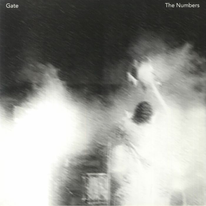 GATE - The Numbers Vinyl at Juno Records.