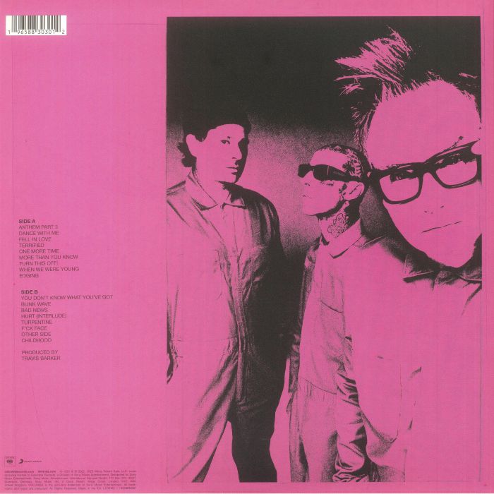 BLINK 182 - One More Time Vinyl at Juno Records.